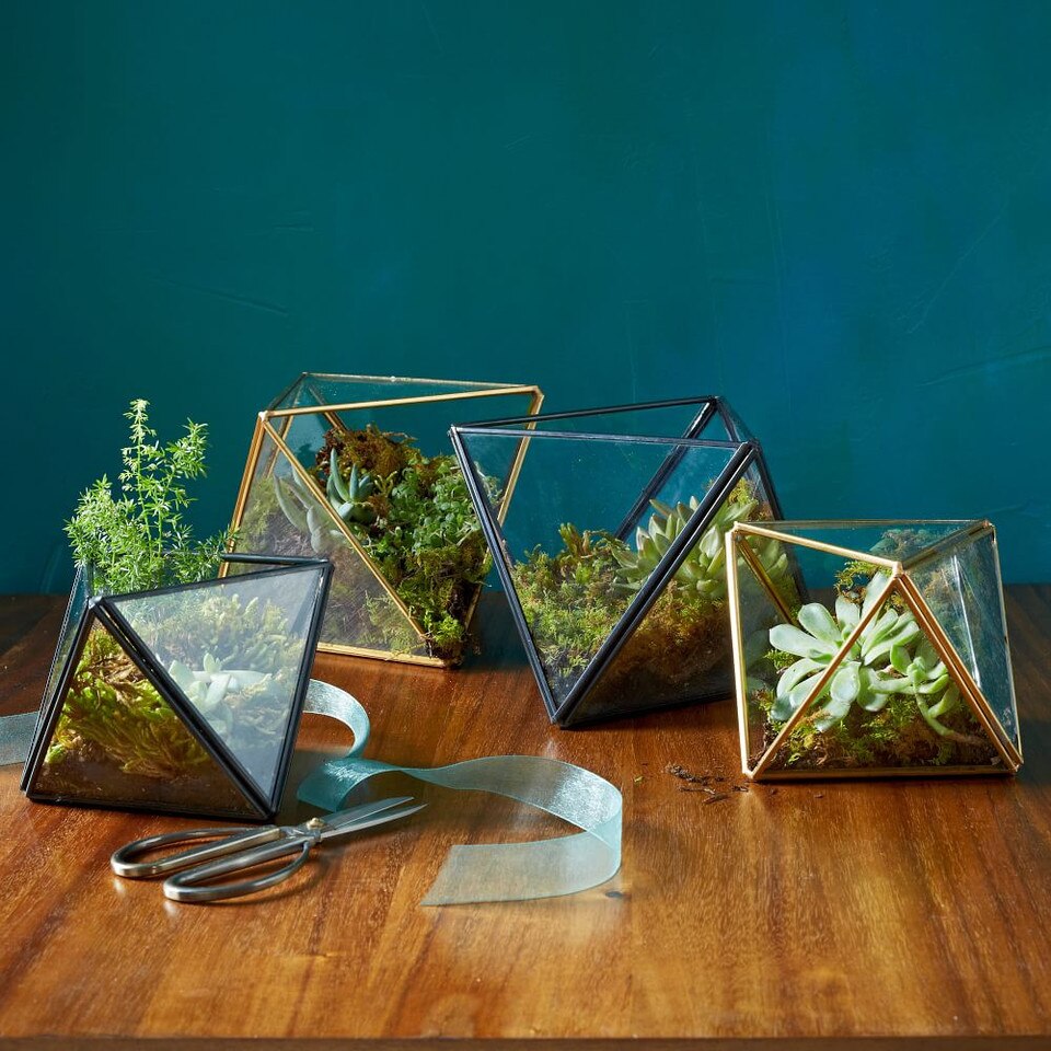 Faceted Terrariums | West Elm Australia